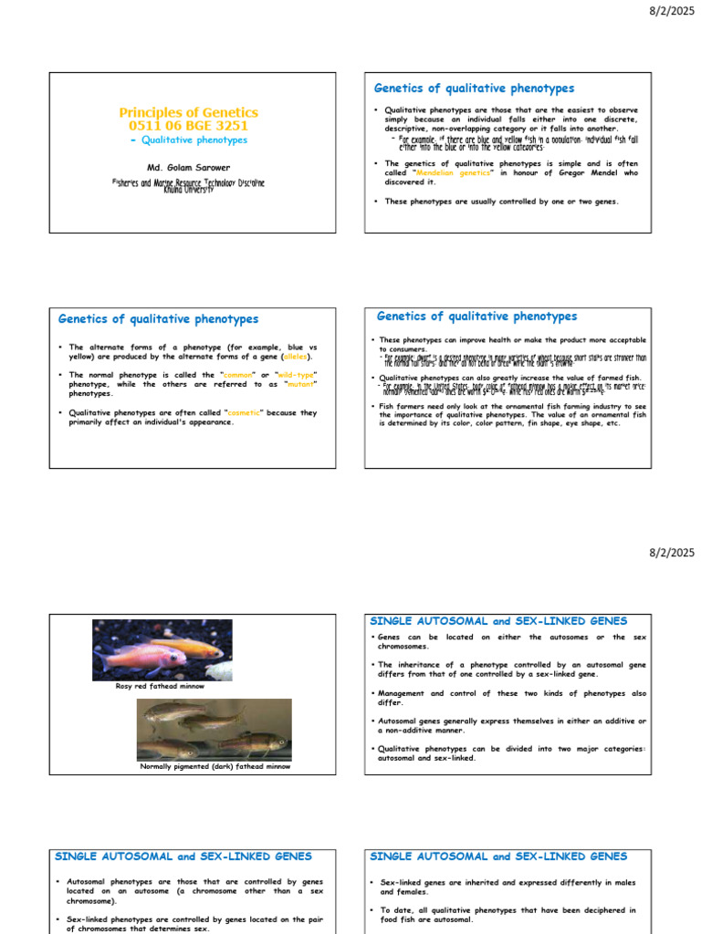 Genetics of Qualitative Phenotypes | PDF | Dominance (Genetics) | Genotype