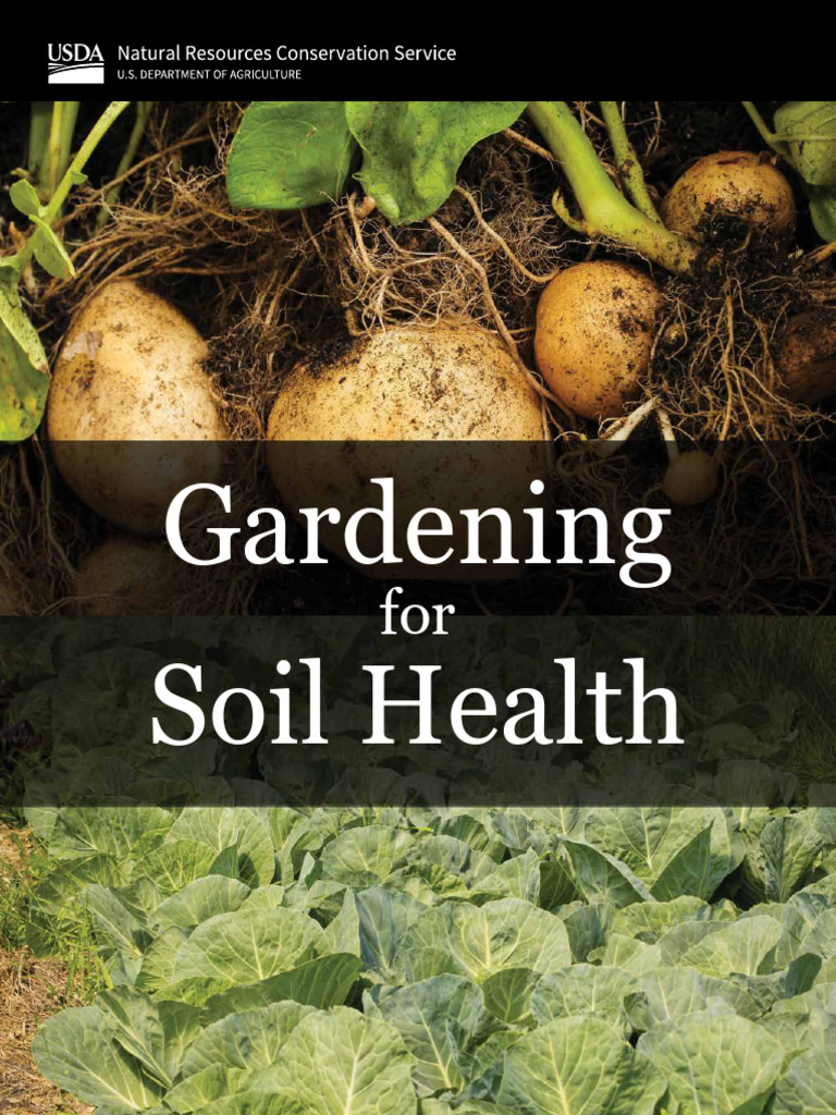 Soil Health Principles for Gardening | PDF | Soil | Microorganism