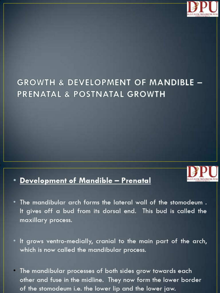 Growth & Development of Mandible WM - Document | PDF | Skeletal System ...
