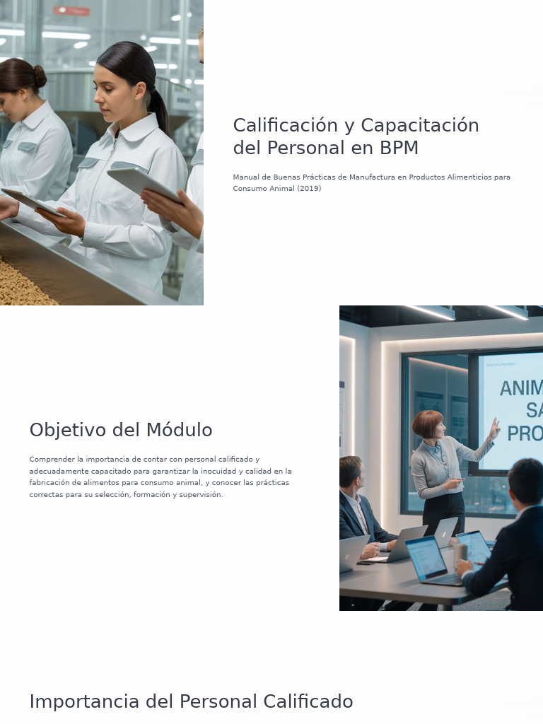 Calificacion y Capacitacion Del Personal en BPM | PDF