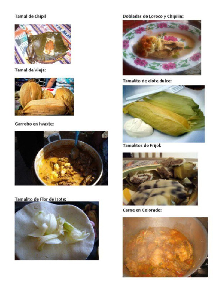 XINCA | PDF