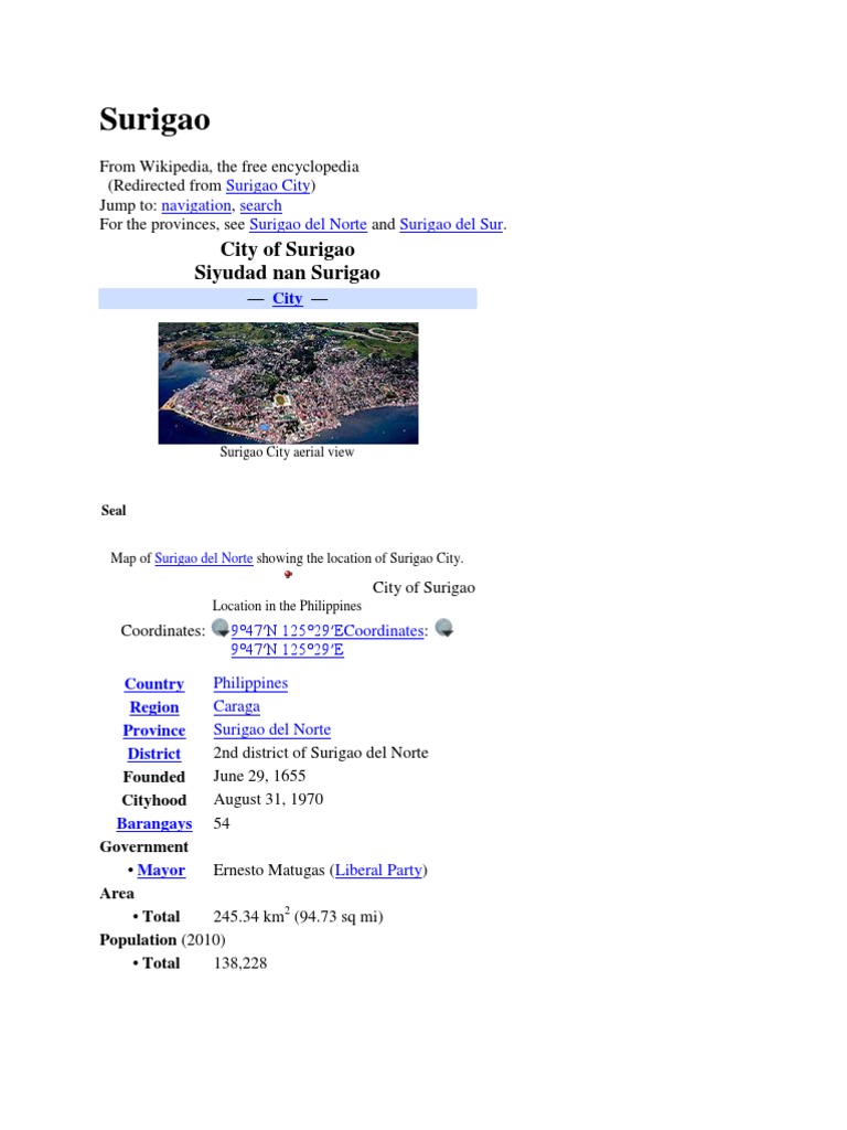 History and Significance of Surigao City | PDF | Unrest | Nature