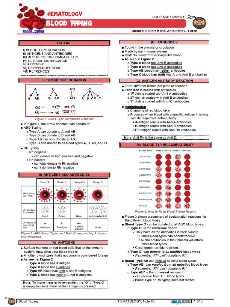 Blood Typing and Compatibility Guide | PDF | Blood Type | Human ...