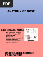 Osteomeatal Complex | PDF | Human Nose | Human Head And Neck