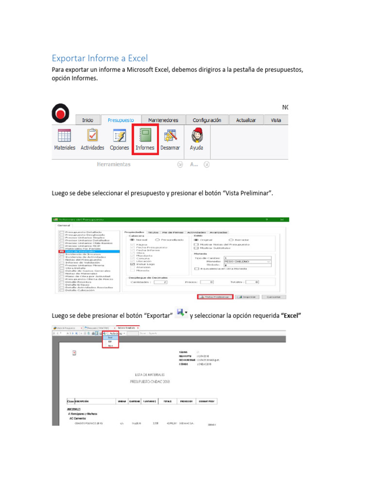 Exportar Informes a Excel Fácilmente | PDF