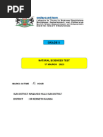 Grade 8 Photosynthesis Investigation | PDF | Photosynthesis | Starch