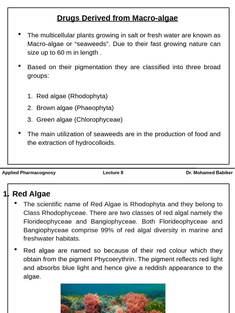 Medicinal Uses of Algae and Hydrocolloids | PDF | Seaweed | Algae
