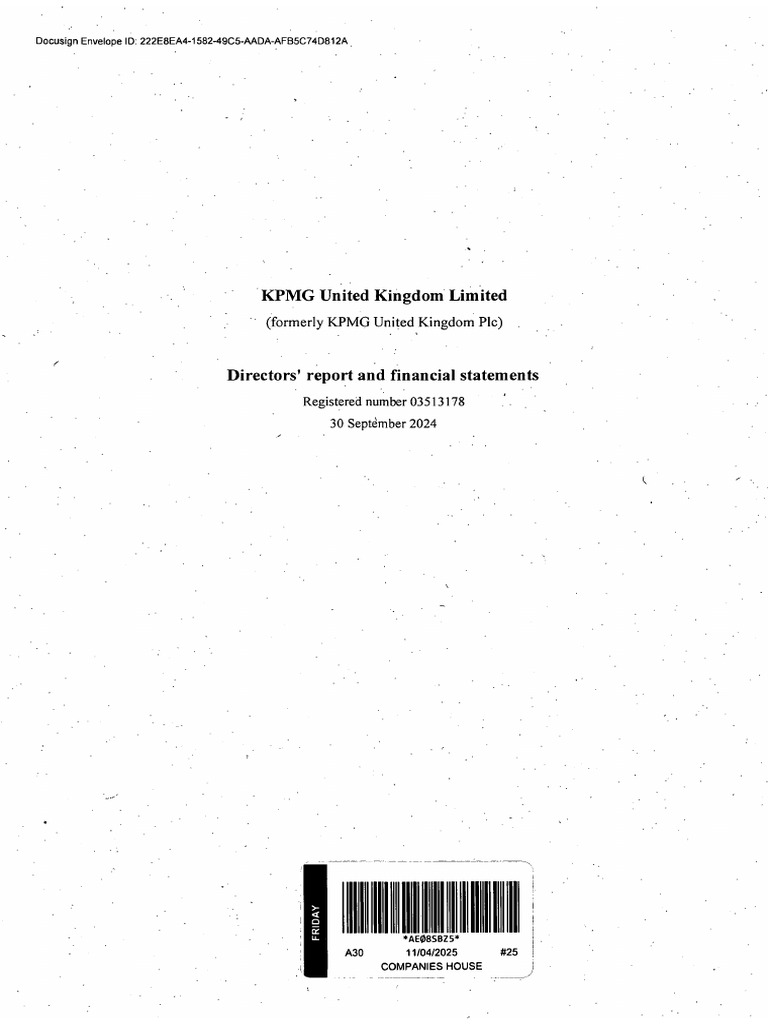 KPMG Annual Statements | PDF