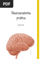 Anatomia dos Forames Cranianos | PDF | Sistema Esquelético | Crânio