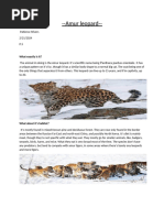 Endangered Amur Leopards | PDF