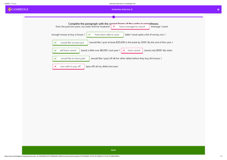 Grammar Exercise on Verb Forms | PDF