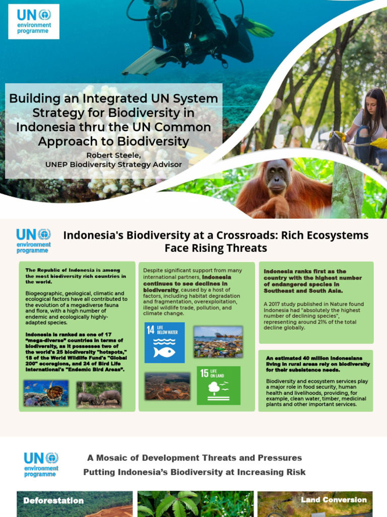 UNCT Indonesia Building An Integrated UN System Strategy For Biodiversity in Indonesia Through ...