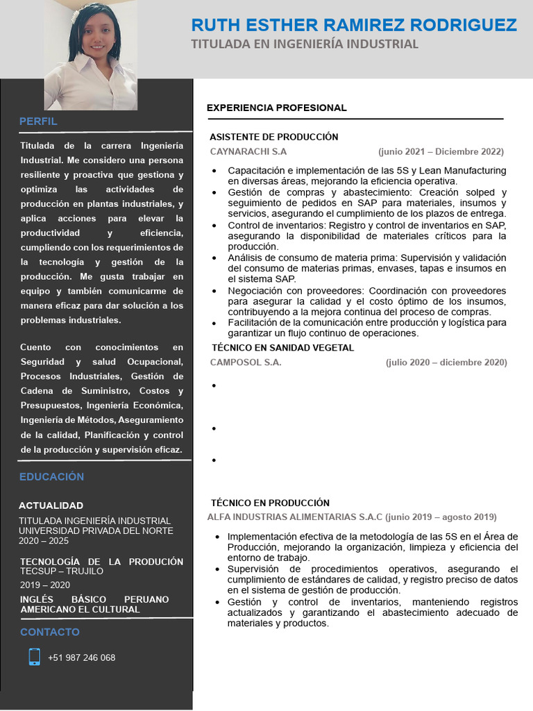 CV - Ruth Esther Ramirez Rodriguez-Ing | PDF | Logística | Business