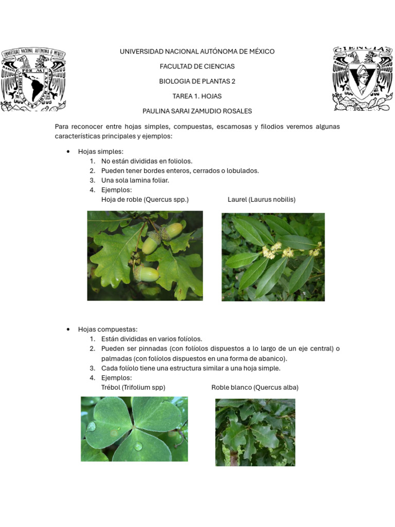 Tarea 1 Plantas | PDF