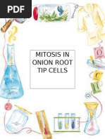 Mitosis Drawing | PDF