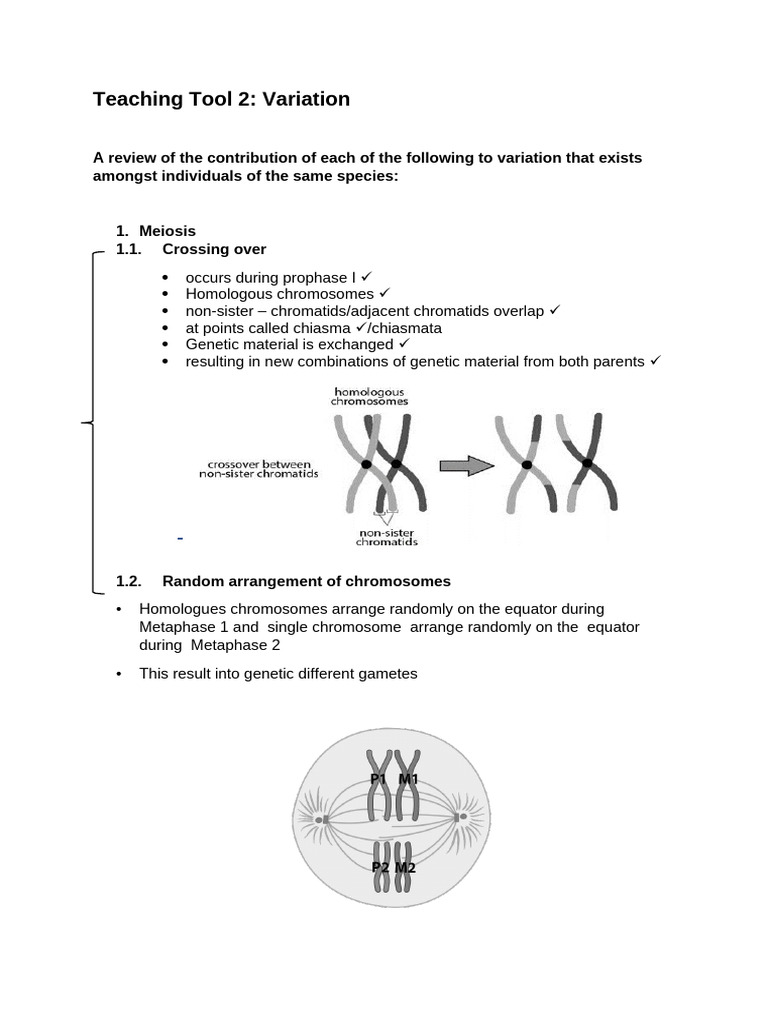 Understanding Genetic Variation Factors | PDF