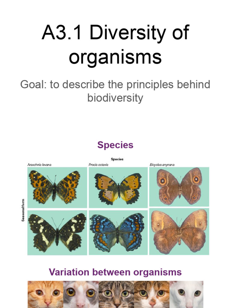 A3.1 Diversity of Organisms | PDF | Chromosome | Karyotype