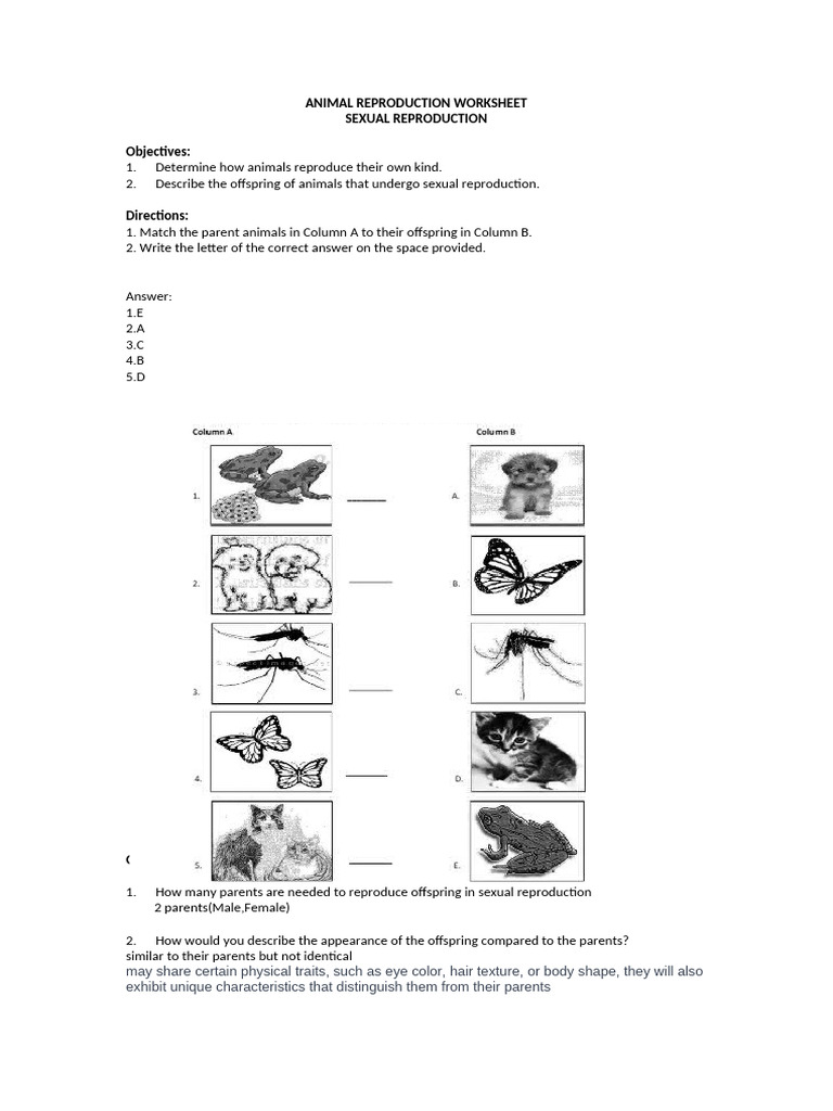 Animal Reproduction Worksheet: Overview | PDF | Reproduction | Ethology
