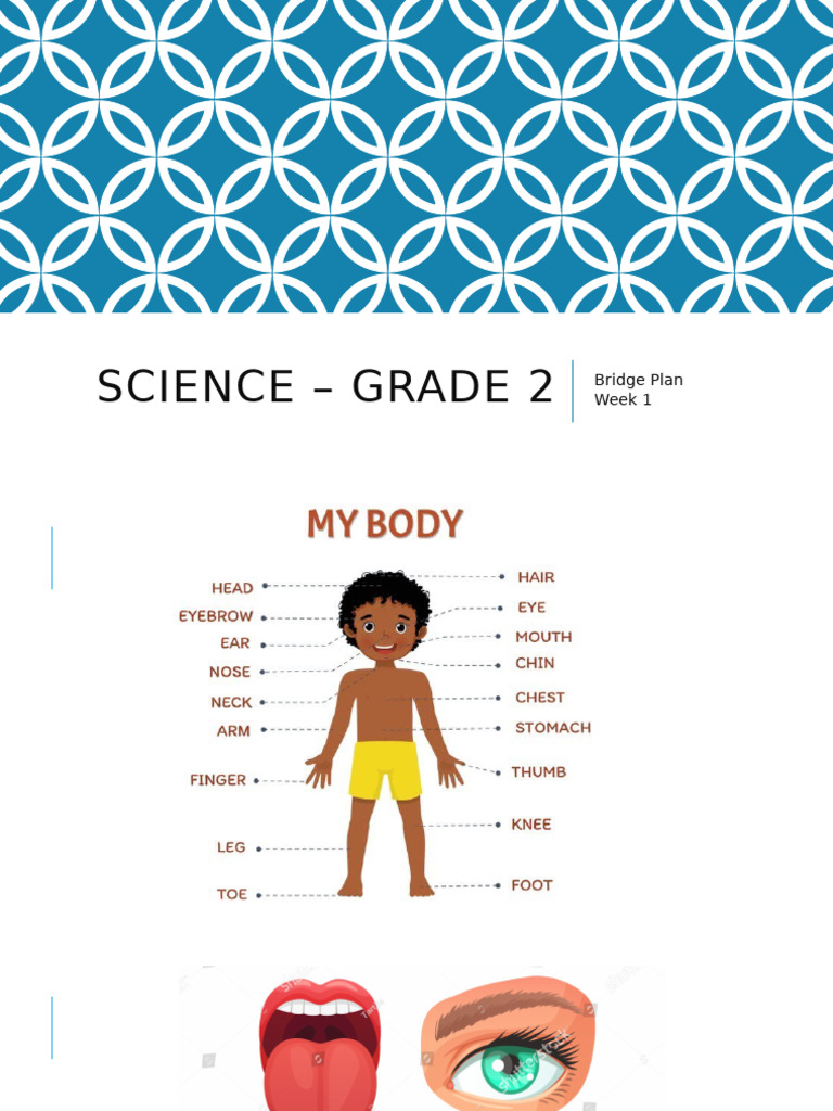 Science - Grade 2 | PDF