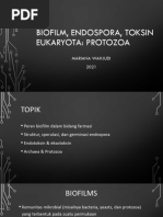 Ulasan Ringkas Dan Sistematik Tentang Struktur Dan Fungsi ...
