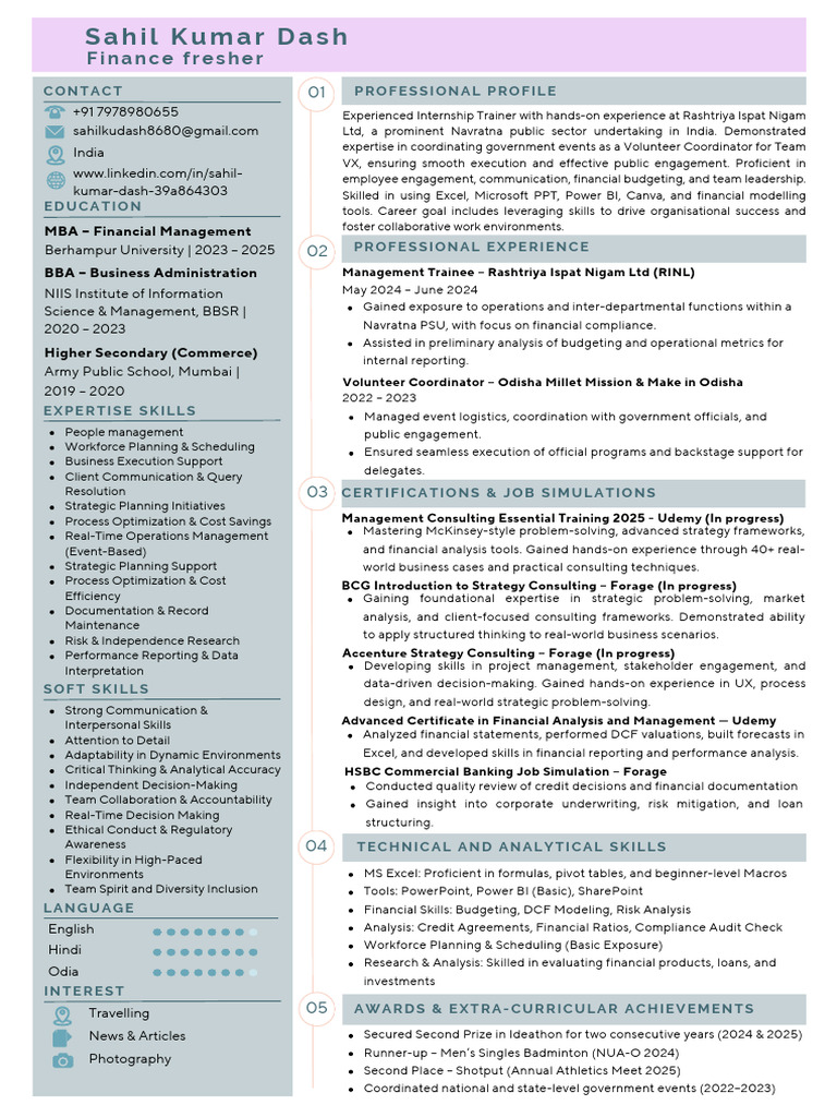 Finance and Consulting Skills Profile | PDF | Decision Making ...