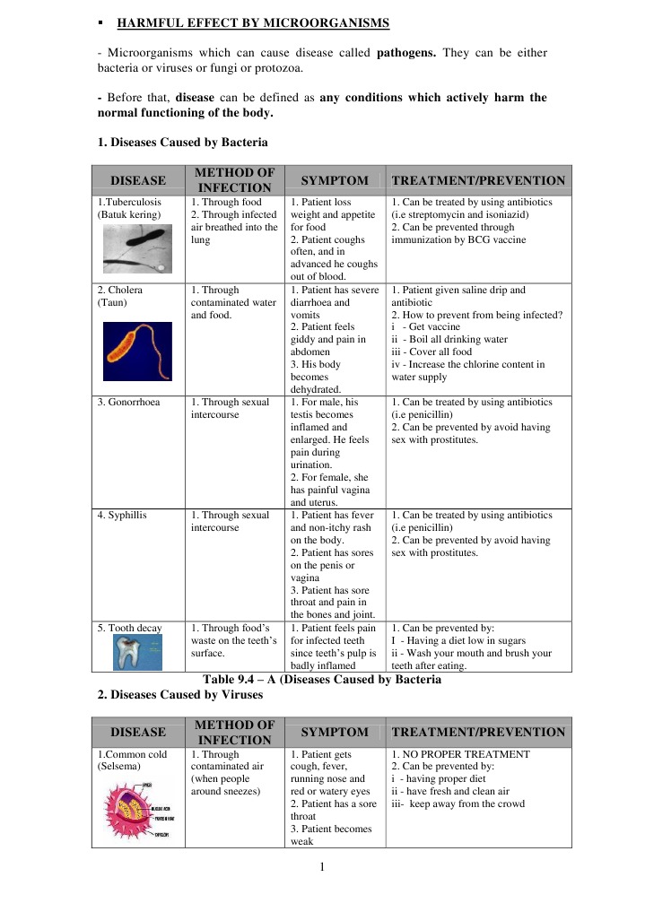 Harmful Effects of Microorganisms | PDF | Infection | Epidemiology