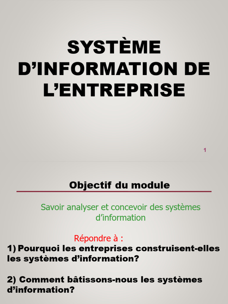 Systèmes d'Information en Entreprise | PDF | Informations | Système d ...