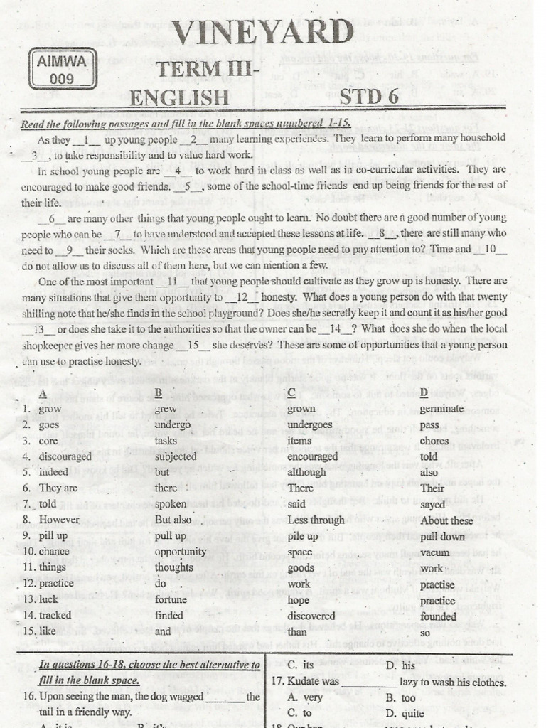 STD 6 EXAM 1 English Questions | PDF
