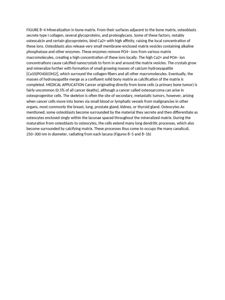Bone Matrix Mineralization Process | PDF