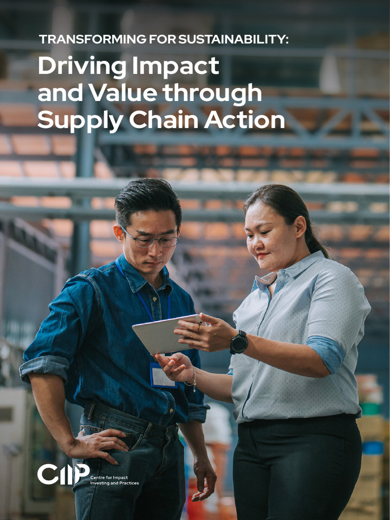 Ciip Transforming For Sustainability Report | PDF | Sustainability ...