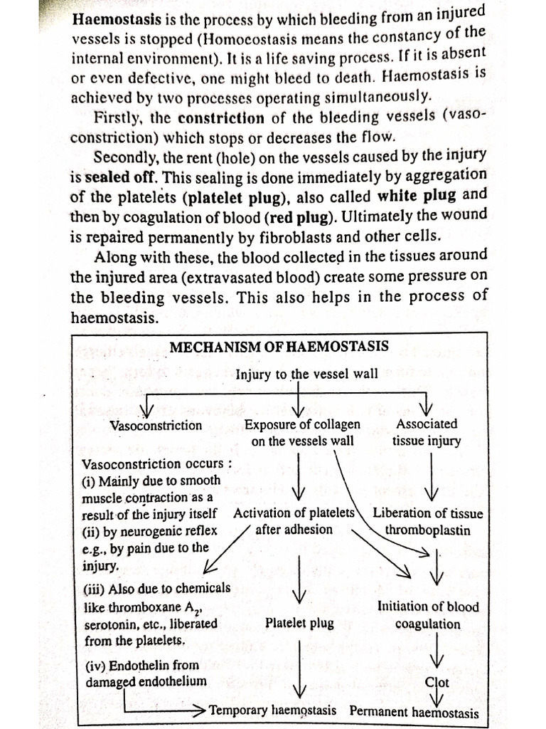 Blood Coagulation or Haemostasis | PDF