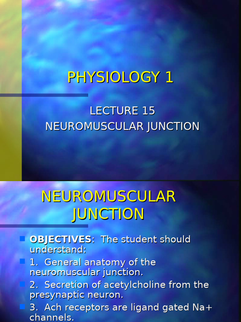 Lec. 15new - 04 - Neuromuscular Junction | PDF | Neuromuscular Junction ...
