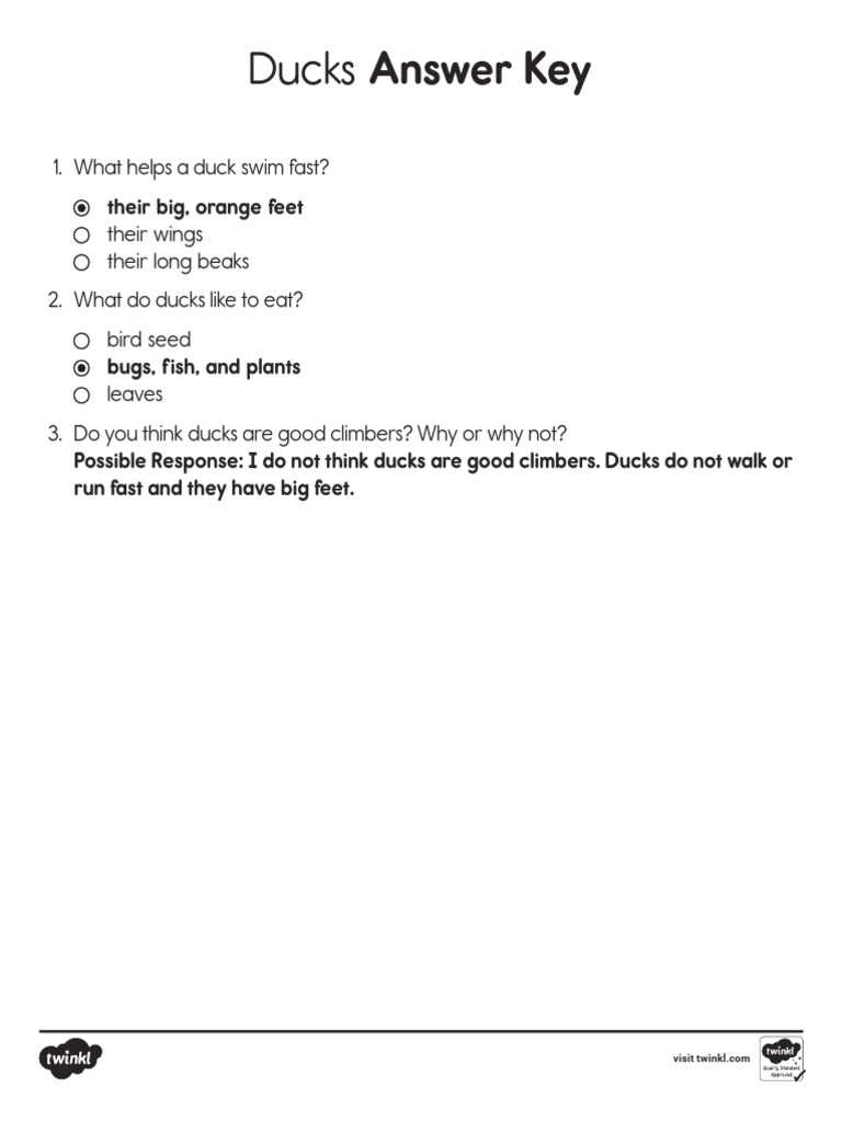 Answer Key First Grade Ducks Reading Passage Comprehension Activity | PDF