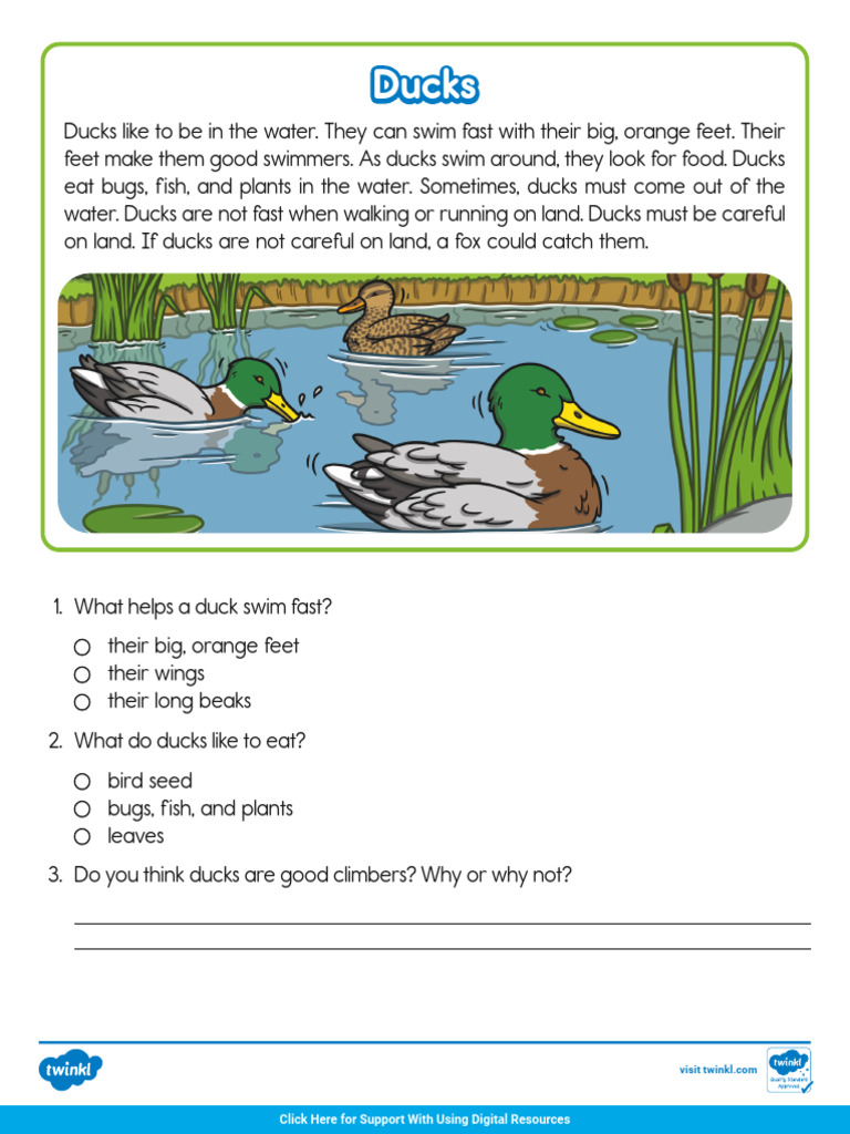 Fun Facts About Ducks for Kids | PDF
