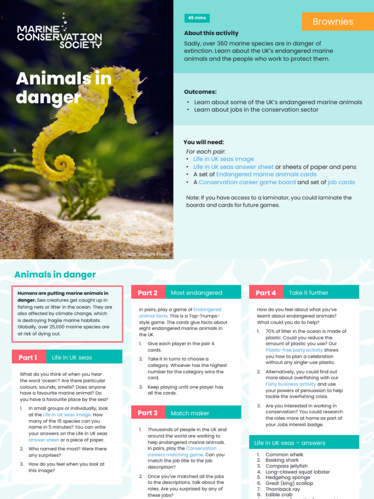 Endangered Marine Animals Activity Guide | PDF | Endangered Species ...