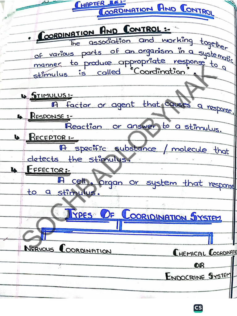 Biology Notes CH 12 by Meerab Ashraf Watermark | PDF