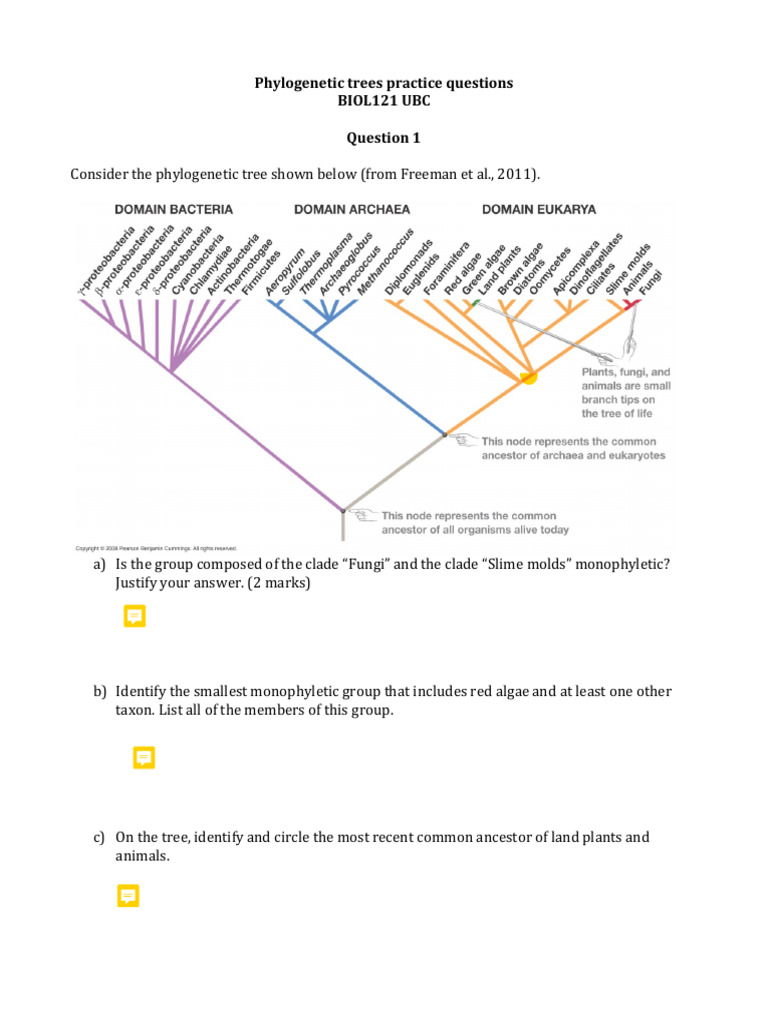 Phylogenetic Trees Practice Questions 2022 | PDF | Phylogenetic Tree ...