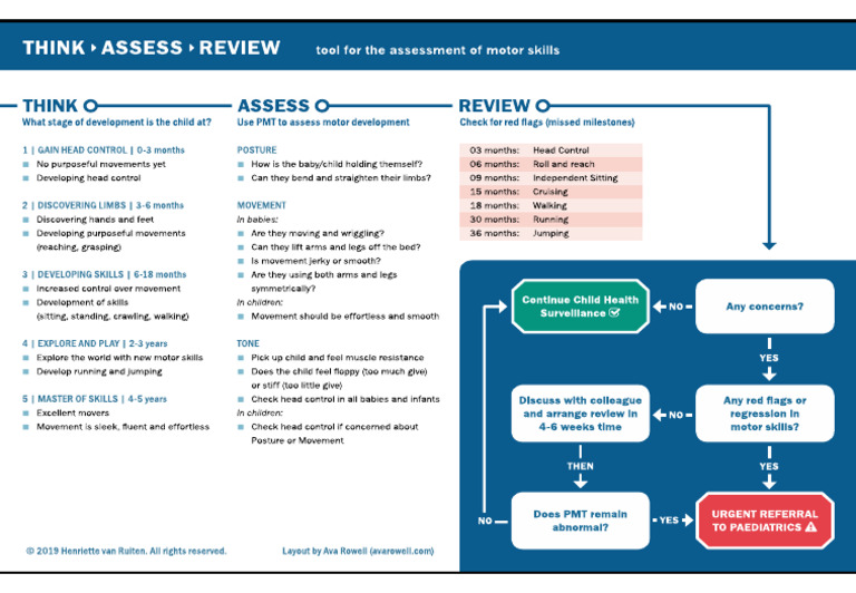 Think Assess Review Tool | PDF