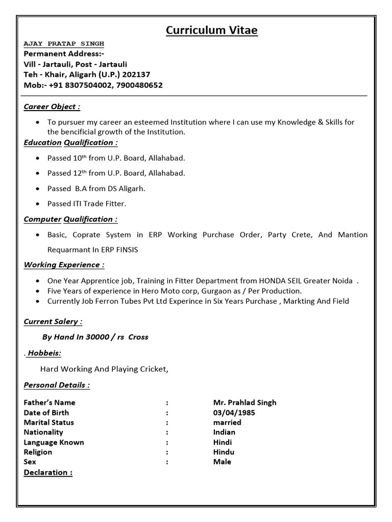 Ajay Pratap Singh CV and Career Overview | PDF