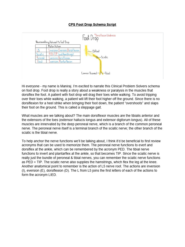 Understanding Foot Drop Causes and Tests | PDF | Foot | Musculoskeletal ...