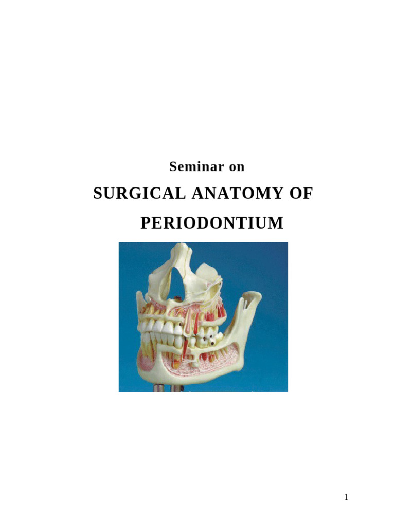 Sem 4 Surgical Anatomy of Periodontium | PDF | Dental Anatomy | Human Nose