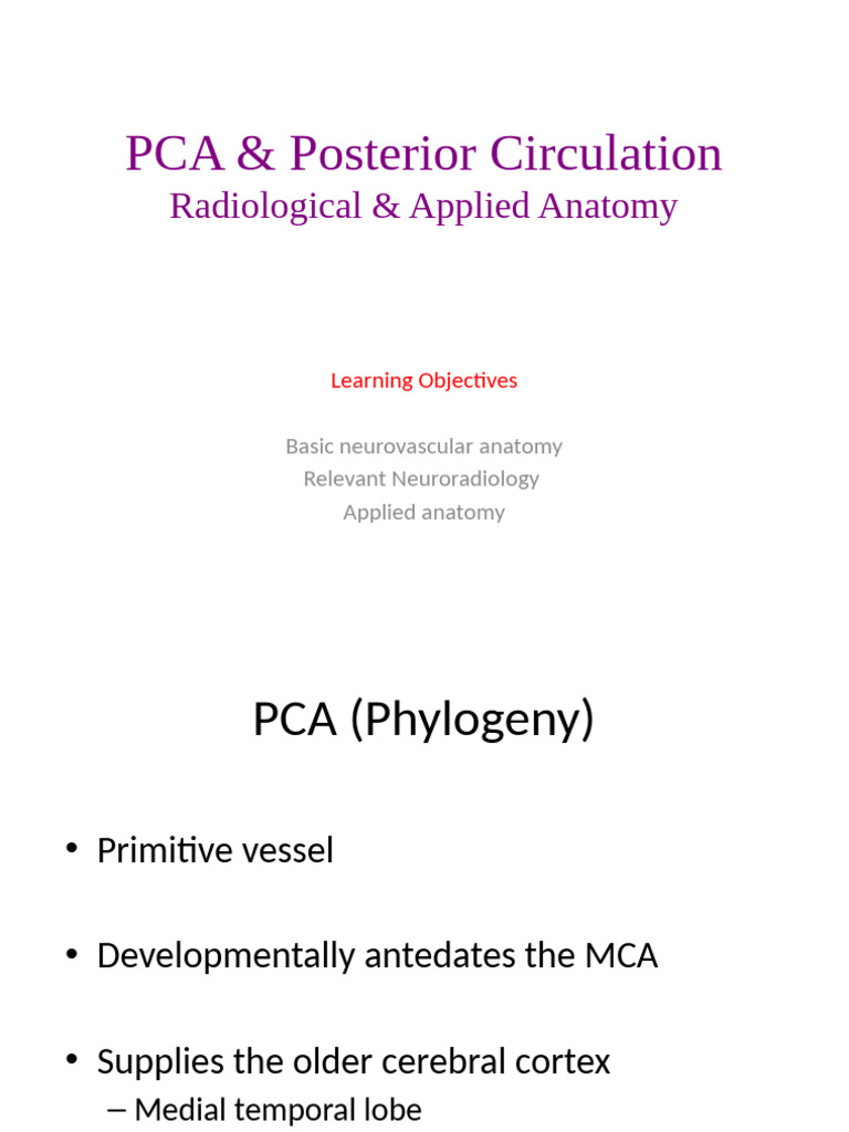 Posterior Circulation Angiographic Anatomy | PDF | Anatomical Terms Of ...