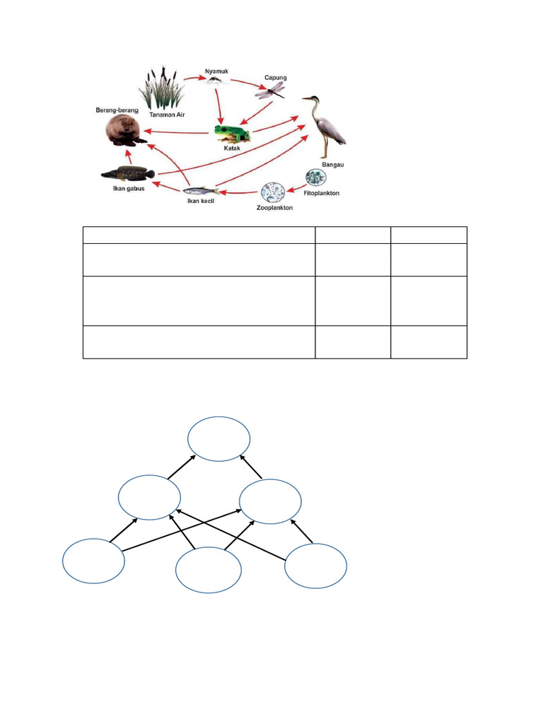 Rantai Makanan dan Organisme Trophic | PDF