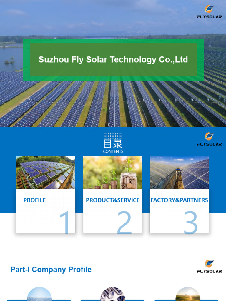 Profile Fly Solar 2025 | PDF | Wafer (Electronics) | Solar Cell
