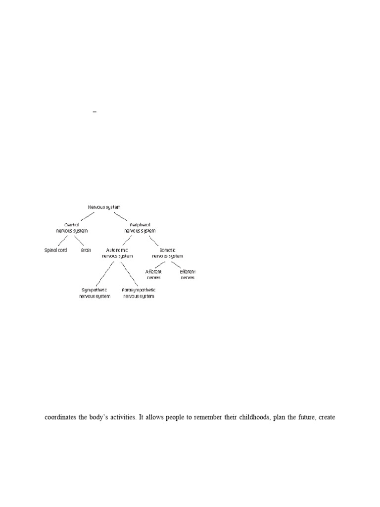 Neurons, Hormones, and The Brain | PDF | Neurotransmitter | Chemical ...