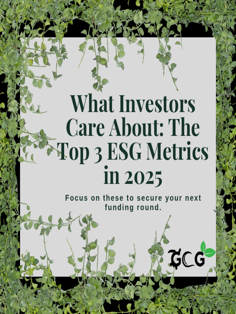 Key ESG Metrics for Investors 2025 | PDF