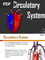 Three Types of Circulation Explained | PDF