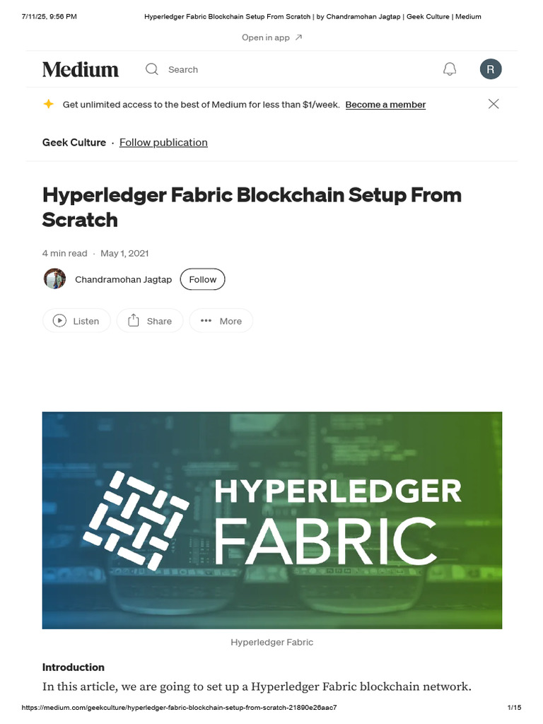 Hyperledger Fabric Blockchain Setup From Scratch - by Chandramohan Jagtap - Geek Culture ...
