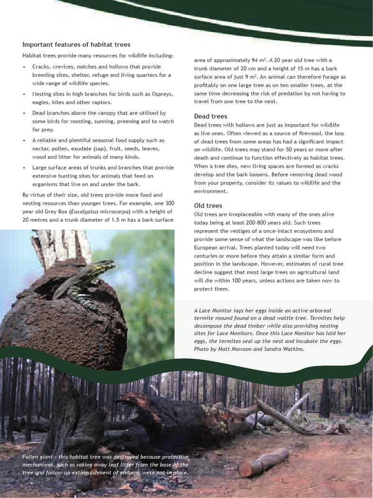 Importance of Habitat Trees for Wildlife | PDF | Trees | Habitat