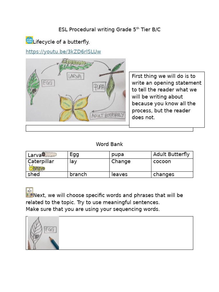 ESL Procedural Writing Grade 5th Tier BC 10292024 | PDF